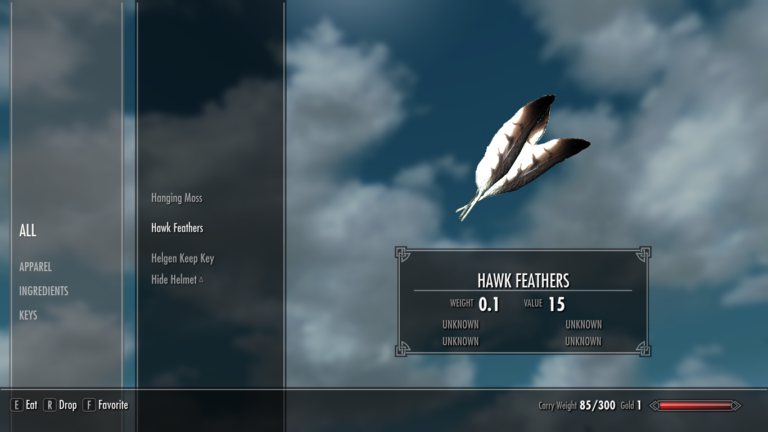 Hawk Feathers (Skyrim): ID, Spawn Commands, Value & Weight - TBM ...
